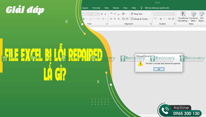 File Excel B L i Repaired L G 